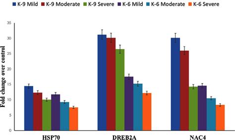 Quantitative Expression Analysis Of Three Candidate Genes At Different