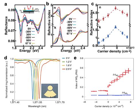 Electric Field Effect Modulation Of The Optical Properties Of Ws2