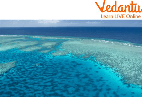 Great Barrier Reef Information Learn Definition Facts And Examples