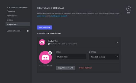 File Webhook In Discord Png Mudlet