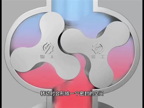 罗茨风机的简介（ 工作原理、特点、介质、结构、用途、选型经验等） 知乎
