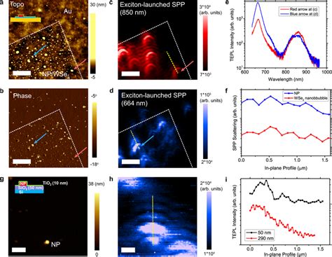 Universality Of Nano Optical Fringes A Topography And B Phase Map Of