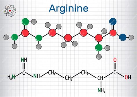 Premium Vector Arginine Arg R Amino Acid Molecule Structural Chemical