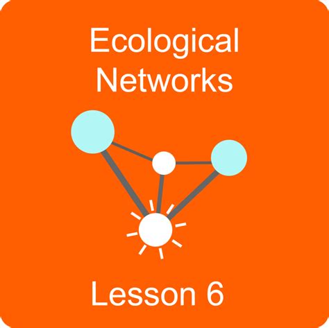 Lesson 6 Revisiting The GSL NetworkBaliga Systems Education Experiences