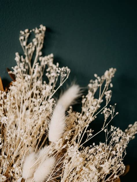 Flores preservadas qué son cuánto duran cómo cuidarlas y 4 ideas de decoración En Pozuelo
