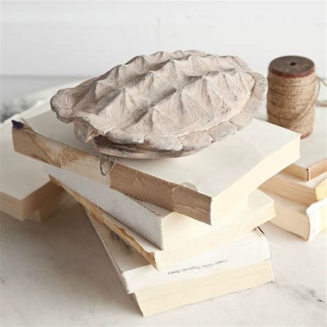 Faux Turtle Shells How To Decorate With Them And Where To Buy Them