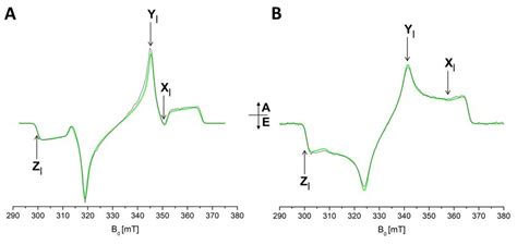 Tr Epr Spectra Of A Chl B In Wscp And B Chl B In 2 Methf Black Download Scientific Diagram