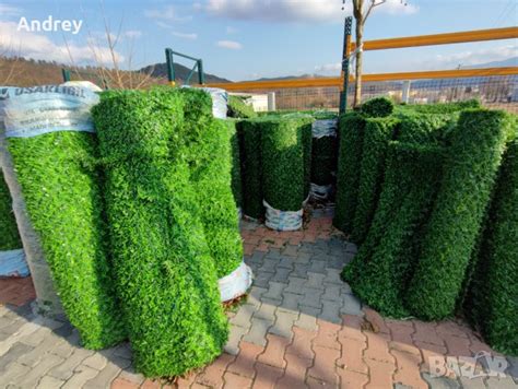 Оградни пана Портали Декоративна мрежа в Огради и мрежи в с Кирково Id39801916 Bazar Bg