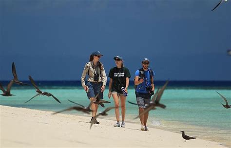 오즈투어 케언즈 요트를 타고 즐기는 특별한 추억 광고의 한 장면을 인생샷으로 줌줌투어 호주 케언즈