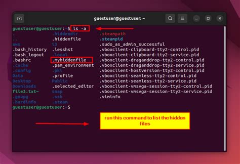 how to show hidden files in linux 4 best ways