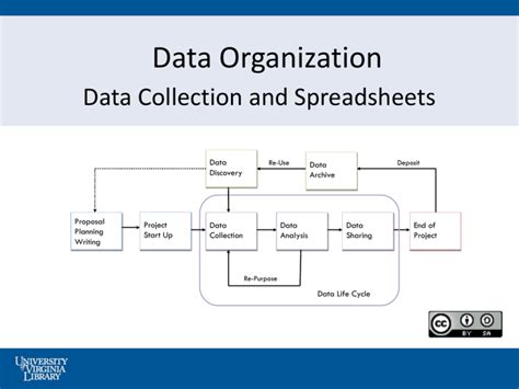 data organization and spreadsheets best practices