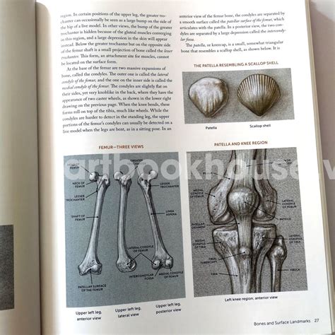 Classic Human Anatomy In Motion