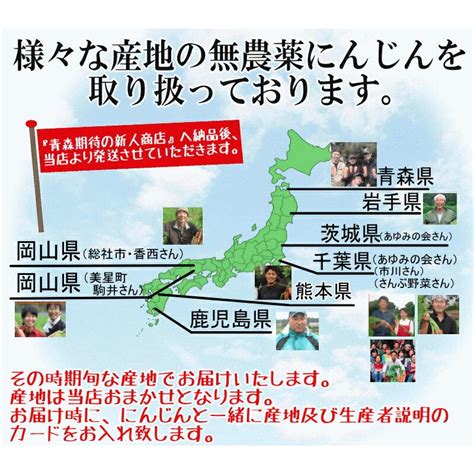 あすつく 人参ジュースに最適 無農薬にんじん 10kg 加工ジュース用 訳あり 無農薬人参 送料無料 エコにんじん 青森期待の新人商店