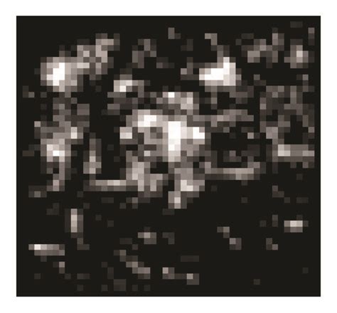A The Ridge Density Map B Orientation Consistency Map And C The