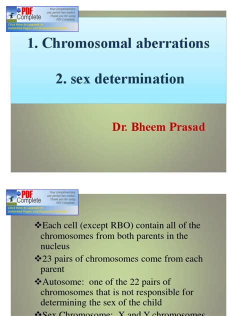 Chromosome Abnormalities And Sex Determination Pdf Genetics