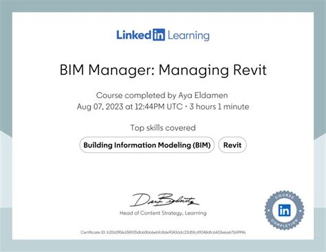 Aya Eldamen On Linkedin Certificate Of Completion