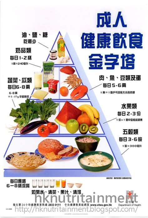 Hknutritainment 健康飲食金字塔 不同年齡金字塔