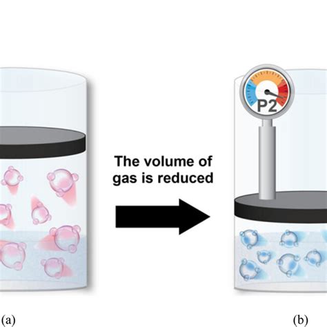 A Equilibrium At A Pressure P1 In A Saturated Solution Of A Gas B