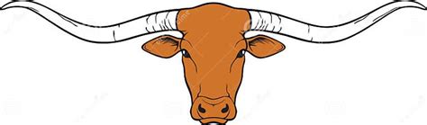 Longhorn Head Texas Design Bull Icon Stock Vector Illustration Of