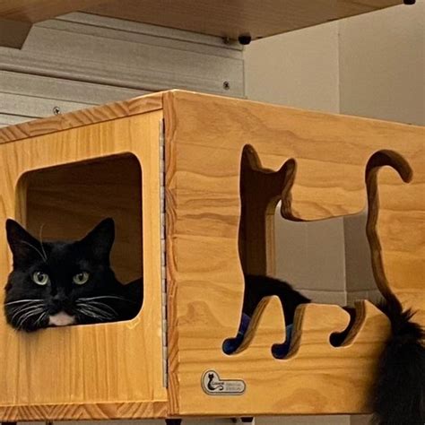 Nullpointerreference • Threads Say More