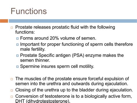 Prostate Pptx