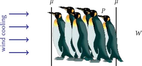 penguins the emperors of fluid dynamics chalkdust