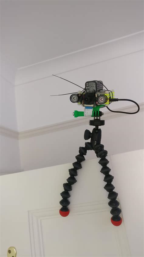Baby Monitor RP3 Raspicam Clone Mini Microphone And Uv4l Server R Raspberry Pi