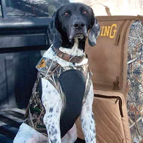 Finding The Right Neoprene Vest For A German Shorthaired Pointer Gsp