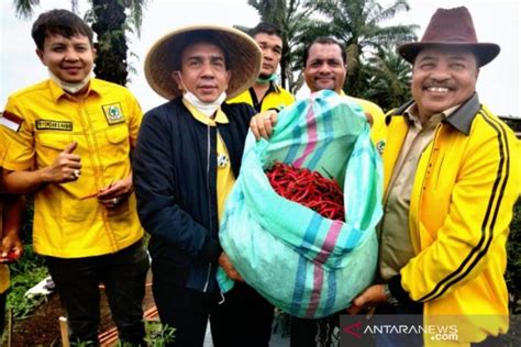 TRK Kembangkan Tanaman Cabai Di Areal 20 Hektare ANTARA News Aceh