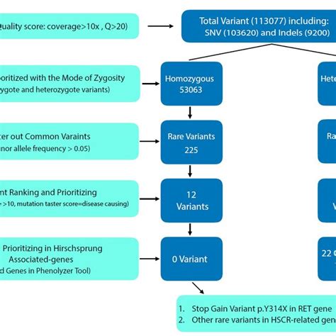 Workflow Of Variant Filtering Download Scientific Diagram