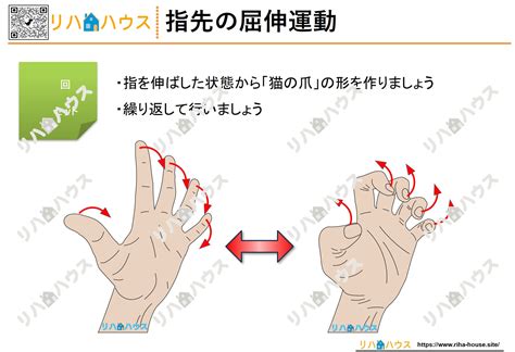 【無料ダウンロード】手指pip・dip関節の屈曲伸展運動イラスト｜自主トレ素材（リハビリ用） リハビリ自主トレーニング脳トレ認知症