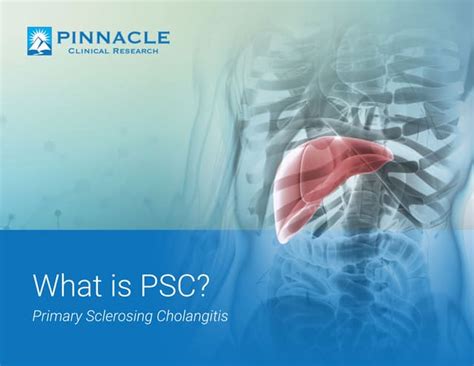 Primary Sclerosing Cholangitis Psc Pdf