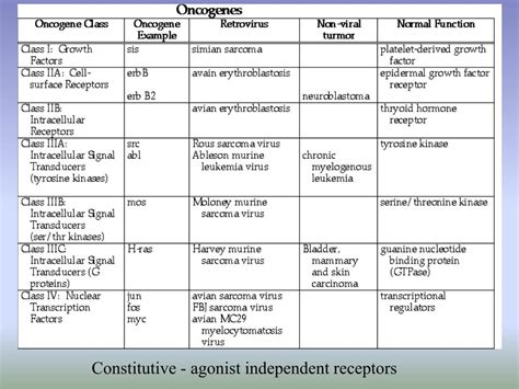 Ppt Oncogenic Viruses Powerpoint Presentation Free Download Id