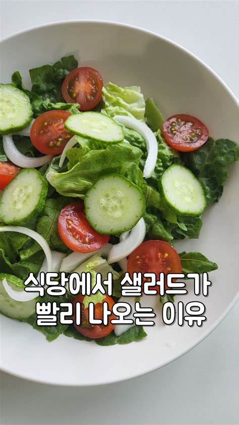 요니 1일 1샐러드 초초초초간단 새콤아삭한 양파와 양배추 피클 샐러드에 추가해 보세요 요즘 기름진 음식을 자주