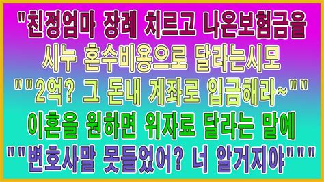 사이다사연친정엄마 장례치르고 나온 보험금을 시누 혼수비용으로 달라는 시모 사이다 이혼합니다라디오드라마사이다신청사연실화
