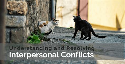 Understanding And Resolving Interpersonal Conflicts Michael Kimmig