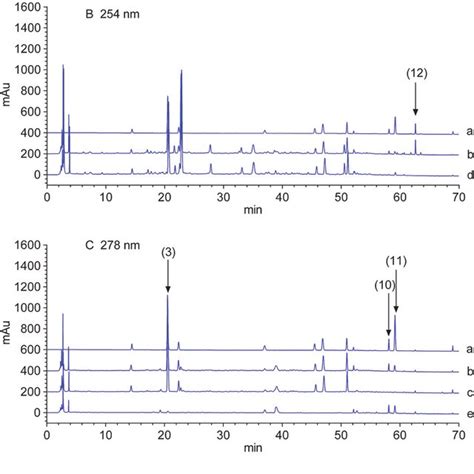 Typical Hplc Dad Chromatograms For Determination Of The 13 Active