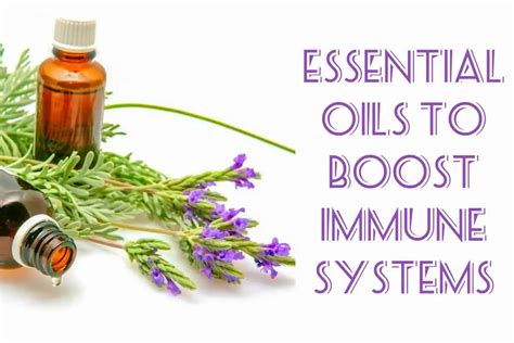 Essential Oils To Boost Immune Systems Your Lifestyle Options