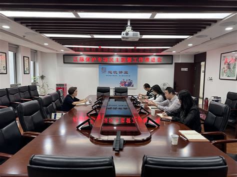 市民革召开长江生态环境保护民主监督工作推进会参政议政民革工作中国国民党革命委员会武汉市委员会