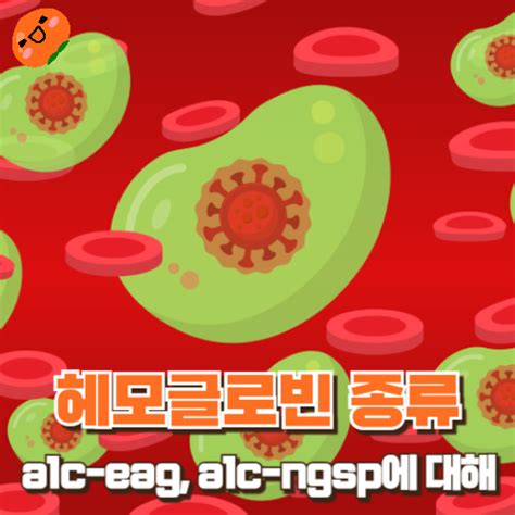 헤모글로빈 종류 당화혈색소 A1c Eag와 A1c Ngsp 차이점까지 완벽 정리