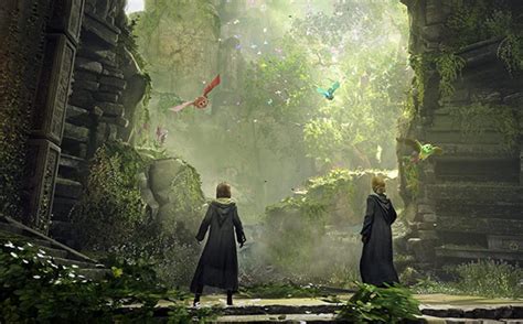 Hogwarts Legacy Mod Reveals Evidence Of Cut Companion System Gonintendo