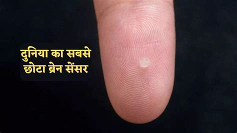 What Is A Brain Sensorचीन ने बनाया दुनिया का सबसे छोटा ब्रेन सेंसर आकार सरसो के दाने से भी
