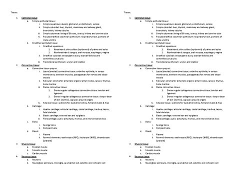 Tissue Summary Human Anatomy And Physiology 1 Tissue Epithelial