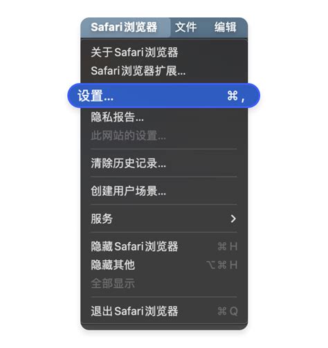 如何禁用 Webrtc 并防止泄漏 Nordvpn