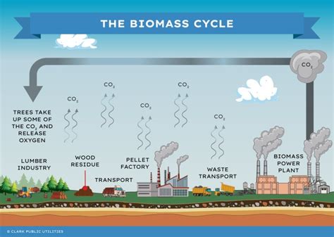 Biomassa Untuk Bioenergi Solusi Energi Berkelanjutan Bioenergi