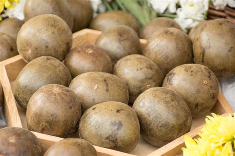 罗汉果花高清图片下载 罗汉果花素材 包图企业站