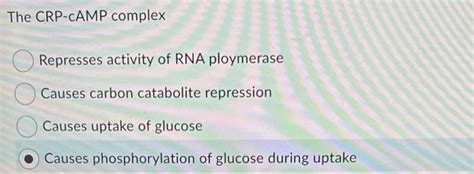 Solved The Crp Camp Complex Represses Activity Of Rna