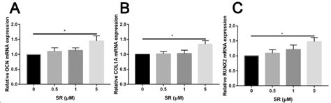 real time pcr analysis of ocn a col1a1 b and runx2 c results of