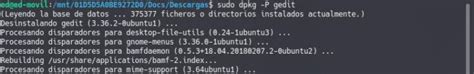 ¿como Usar Dpkg En Debian Cafecondebian