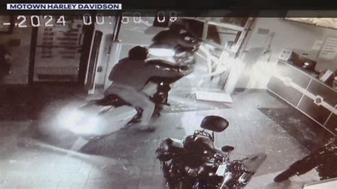 Over 100000 In Harley Davidson Bikes Stolen As Thieves Crash Through